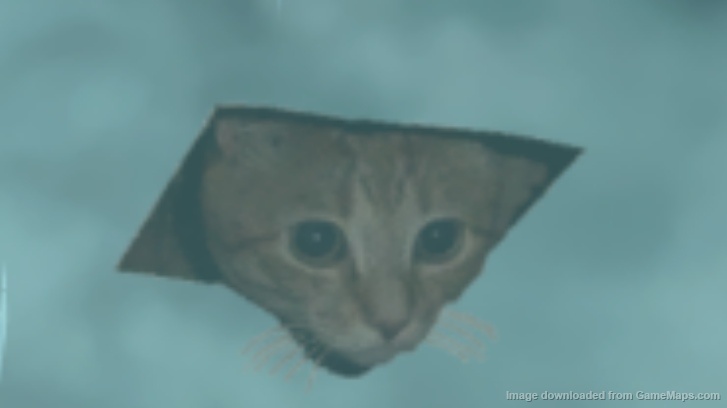 Ceiling Cat Moon (Left 4 Dead 2) - GameMaps