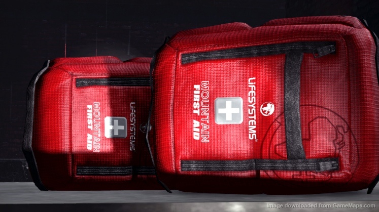Lifesystems Mountain First Aid (Left 4 Dead 2) - GameMaps