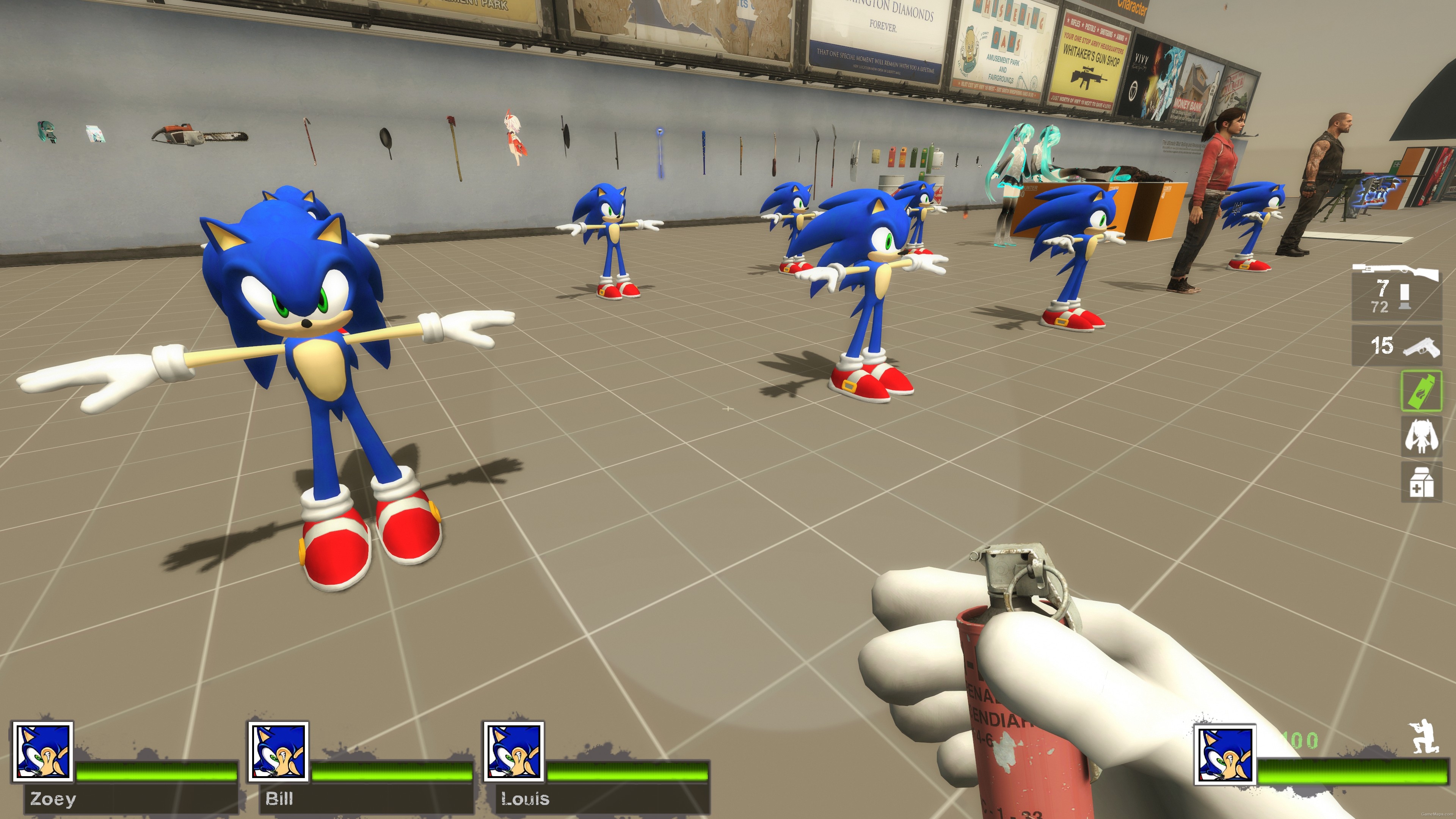 Only Sonic the Hedgehog (request) (Left 4 Dead 2) - GameMaps