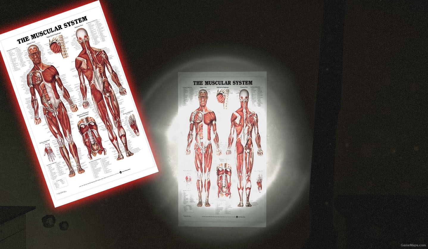 TWD X-Rays (animated/RNG) (Left 4 Dead 2) - GameMaps