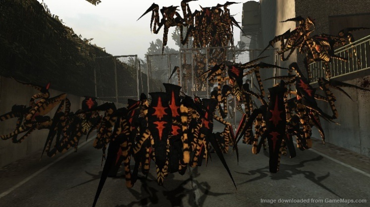 Warrior Bugs (Left 4 Dead 2) - GameMaps