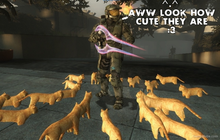 Cats!!! (Left 4 Dead 2) - GameMaps
