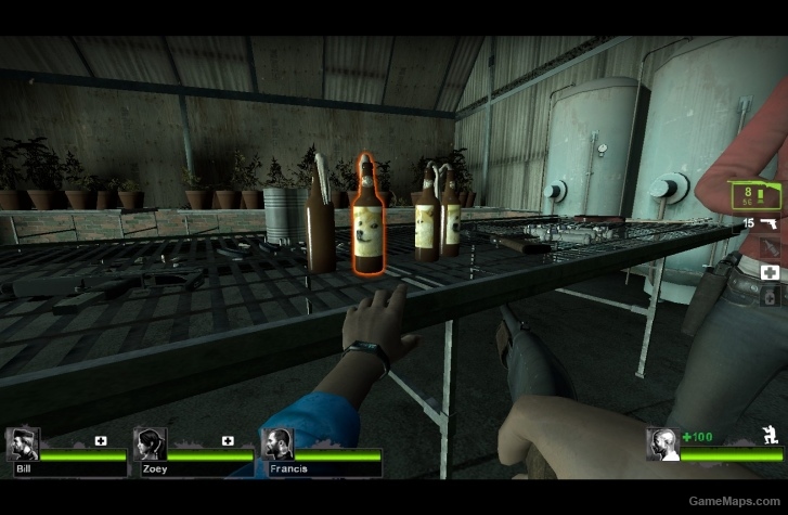 Doge Molotov Skin (Mod) for Left 4 Dead 2 - GameMaps.com