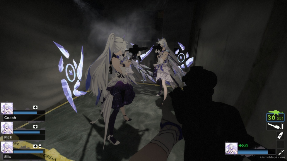 Only HI3 Hof Kiana TR Zoey (request) (Mod) for Left 4 Dead 2 - GameMaps.com