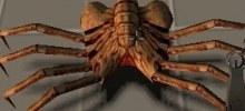 Alien Facehugger (Mod) for Left 4 Dead 2 - GameMaps.com