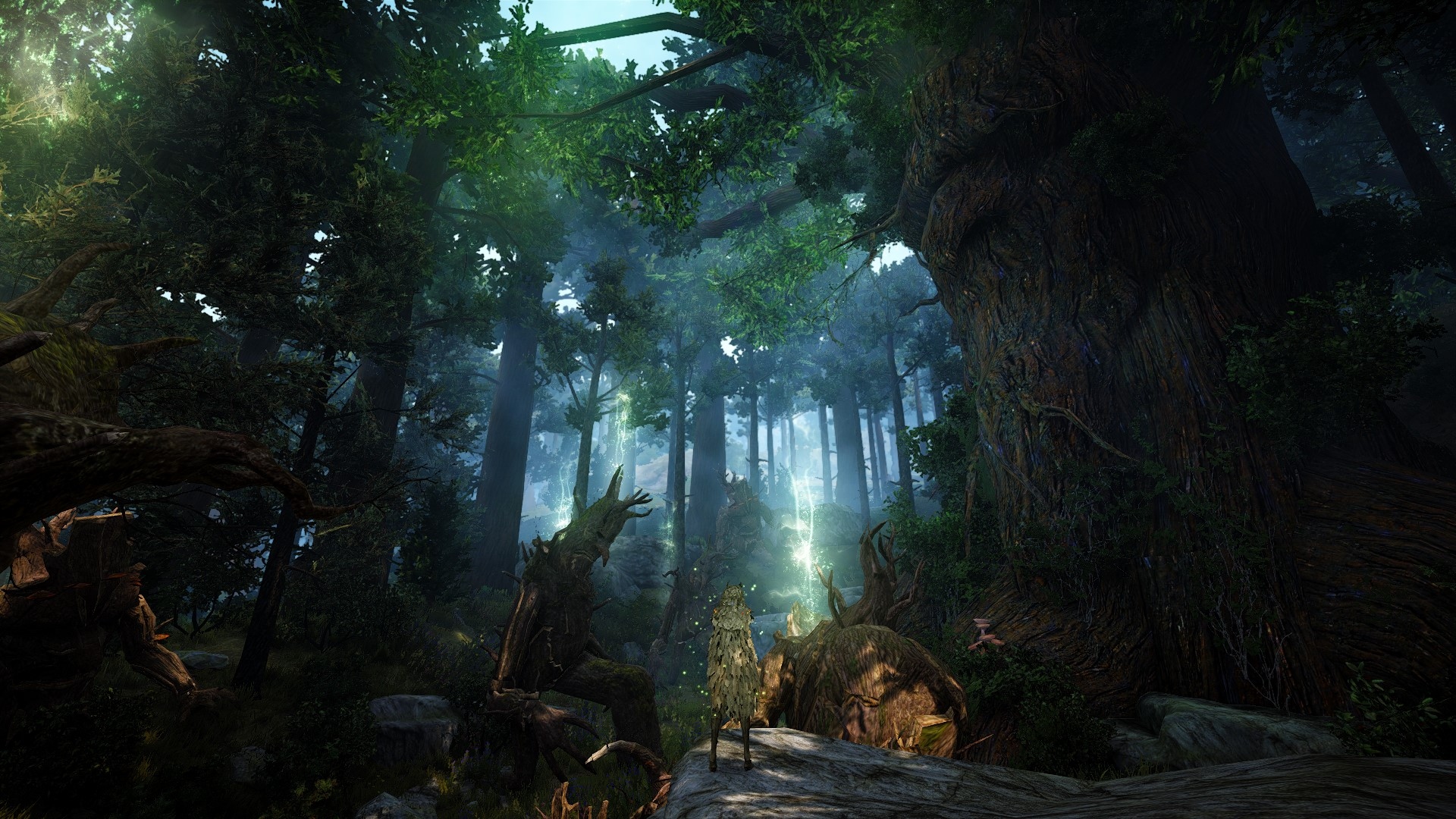 Custom Maps and Mods for Black Desert - GameMaps.com