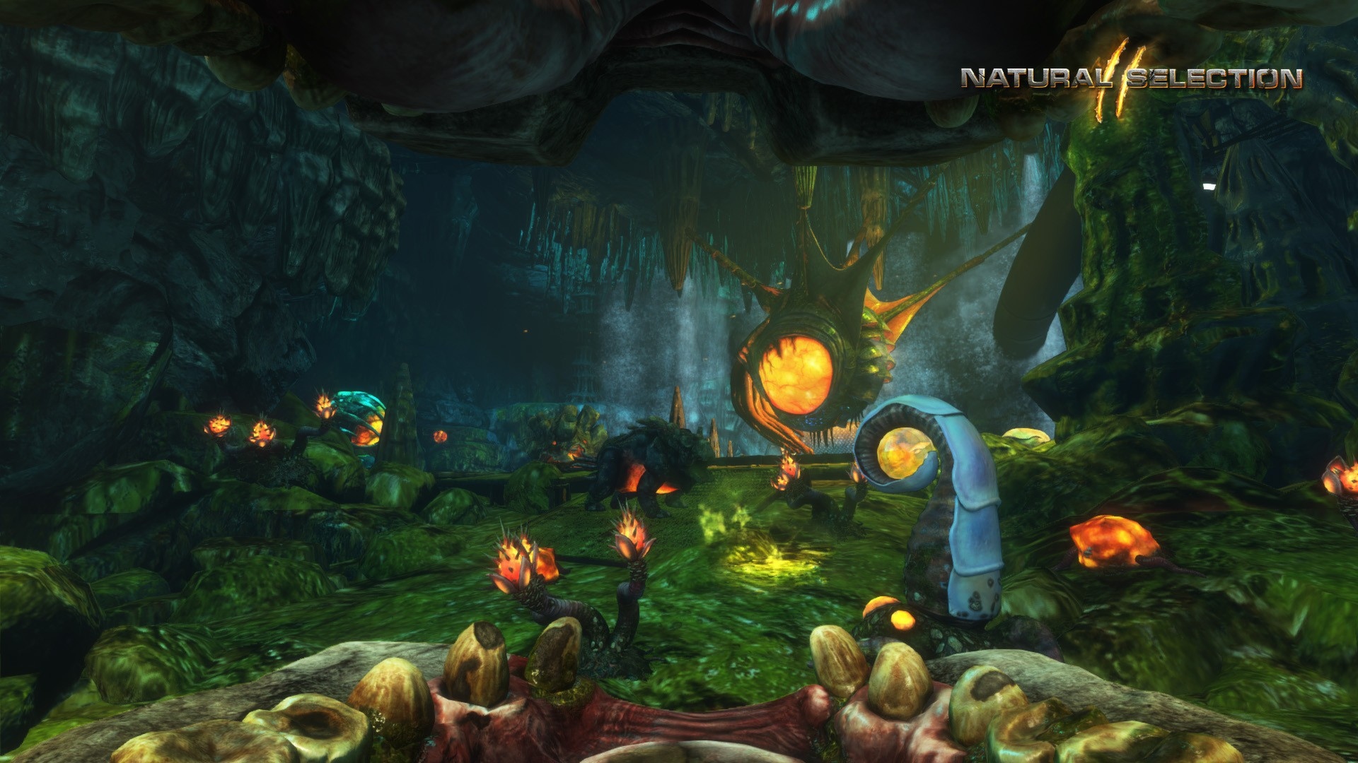 Custom Maps and Mods for Natural Selection 2 - GameMaps.com