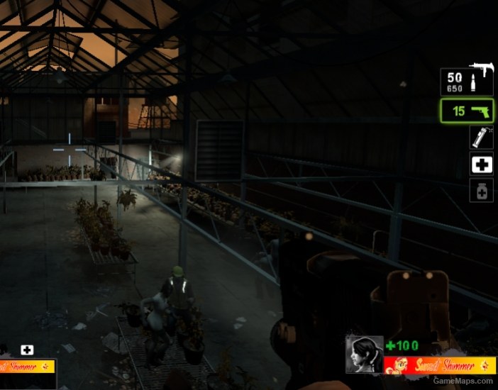 MLP - Sunset healthbar (Left 4 Dead 2) - GameMaps